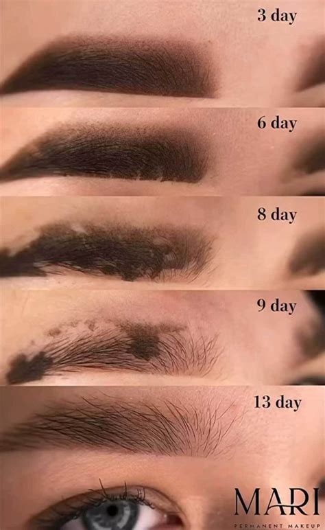 Powder Brows Stages At Ida Barrera Blog
