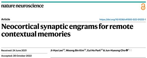 Nat Neurosci 往事历历在目的神经生物学机制 新皮层突触印记调节远期情景型记忆 细胞 痕迹 恐惧