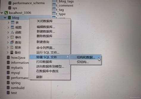 新手向从零开始将springboot项目部署到云服务器（ecs）上springboot Api部署到aws Ecs Csdn博客