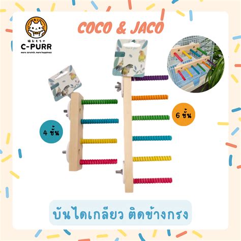 Coco And Jaco Bird Ladder Spiral Rainbow Color Attached To The Cage