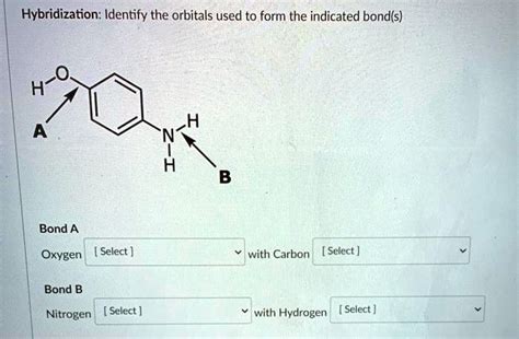 Solved Hybridization Identify The Orbitals Used To Form The Indicated Bond S H H N Bond A