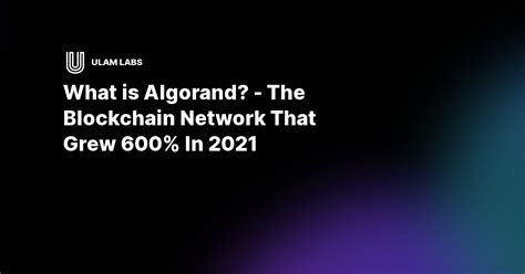 What Is Algorand The Blockchain Network That Grew In Ulam Labs