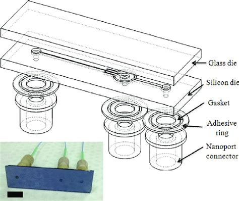 Microfluidic Device For Hydrodynamic Flow Focusing With An Exploded Download Scientific Diagram