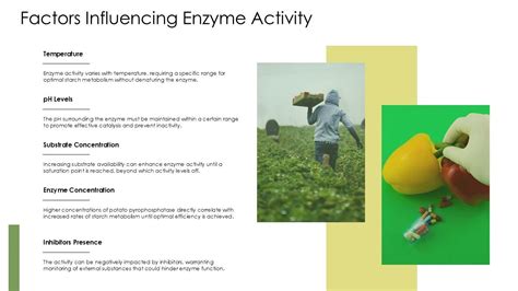 Potato Pyrophosphatase Enzyme Starch Metabolism Ppt Presentation St Ai Ppt Presentation