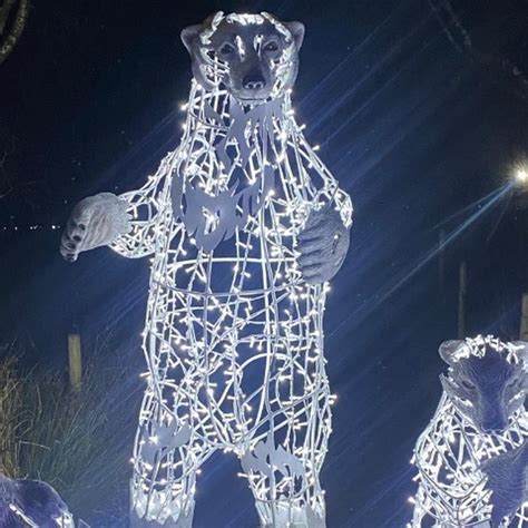 Dean Doherty Youtube