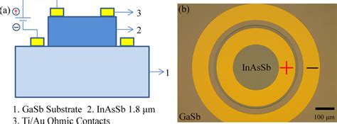 A Schematic Cross Section View Of The Heterojunction Detector The Download Scientific