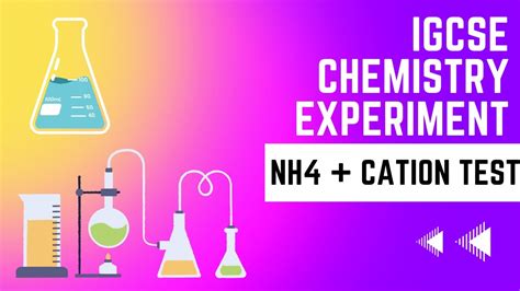 [0620] Igcse Chemistry Lab {cation Test Ammonium Ion} [chempraxis