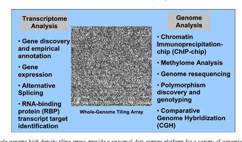 Figure 1 From Applications Of Dna Tiling Arrays For Whole Genome