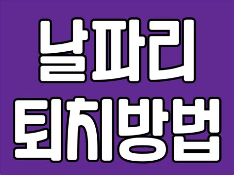 날파리 퇴치법 추천 6가지 방법 알아보자