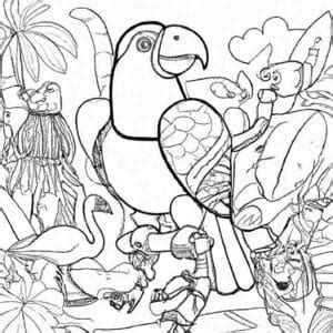 40 Desenhos De Animais Da Amazônia Para Imprimir E Colorirpintar