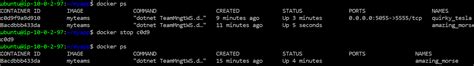 docker on linux containerizing a c api service