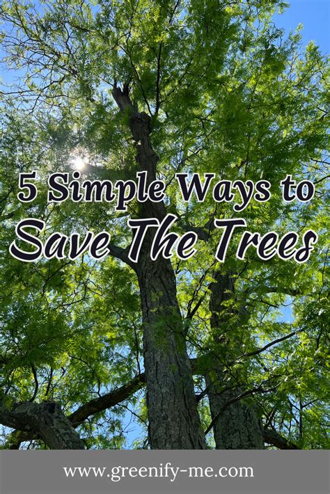 Save The Trees Easy Ways To Protect Forests Urban Landscapes Greenify Me