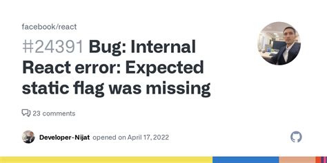 bug internal react error expected static flag was missing · issue 24391 · facebook react · github