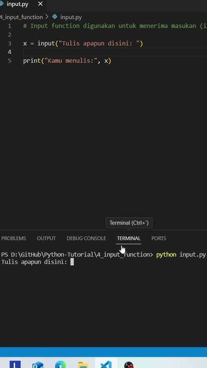 Cara Menerima Input Pada Terminal Kita Di Python Dreaviam Coding