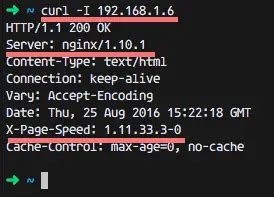 How To Install Nginx And Google PageSpeed On Ubuntu 16 04 Xenial Xerus