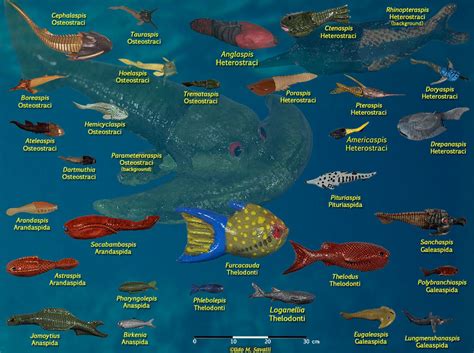 Lsc370 Jawless Fishes