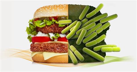 Isolating Bacterial Pathogen Dna From Food Samples