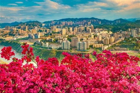 攀枝花市文广旅局局长动车开通后让攀枝花成为旅行首选下一站 极目新闻