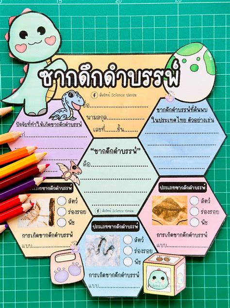 🌟 ชิ้นงาน ซากดึกดำบรรพ์ ป 6 🦖 สื่อวิทย์ Science ประถม Facebook