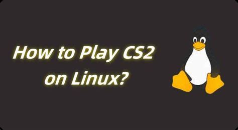 How To Play Cs2 On Linux