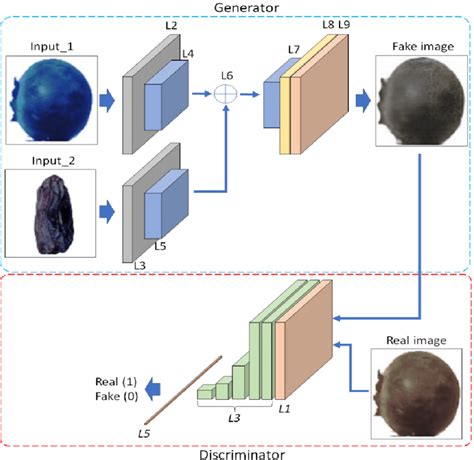 Example Of The Detailed Structure Of Pi Gan Download Scientific Diagram