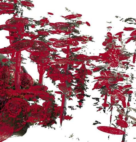 visualization of the a gmmap b ndt om c bgkoctomap l and d download scientific