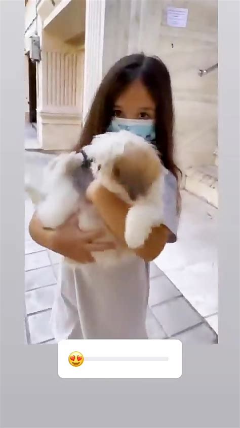 استوری جدید ارمیتا ارمیتا محسنی