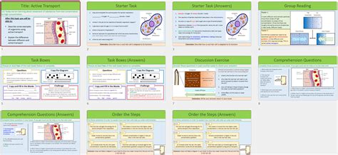 19 Active Transport Biology Notes For Igcse 2014 Diffusion Active