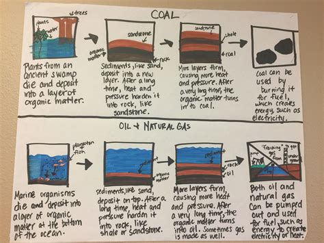 Fossils Anchor Chart At Carol Godsey Blog