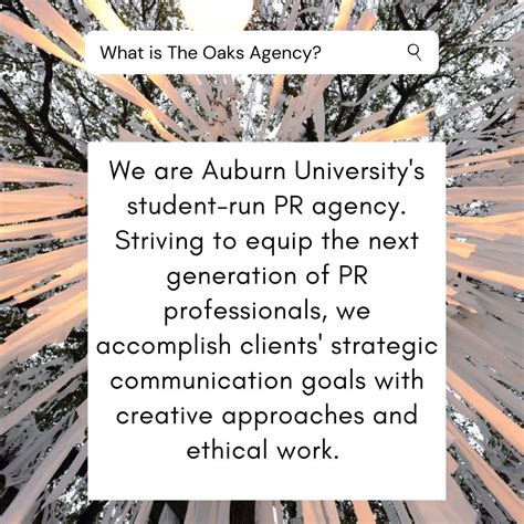 Maddison Booth On Linkedin Im So Thankful For All The Experience The