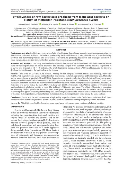 Pdf Effectiveness Of Raw Bacteriocin Produced From Lactic Acid