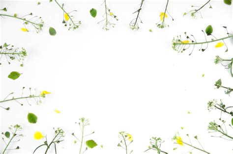 Декоративная рамка из цветов Бесплатно Фото