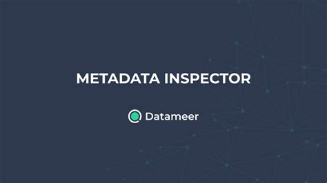 metadata inspector datameer