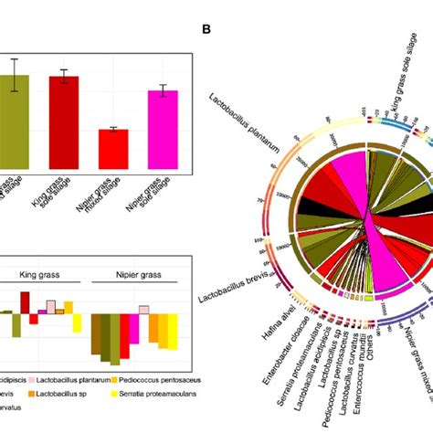 Topological Properties Of Communities In Bacterial And Fungal Networks