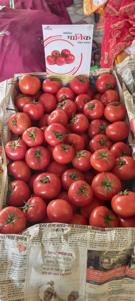 Ashutosh Kumar Mishra On Linkedin Manik