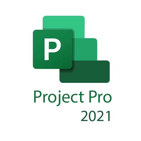 Microsoft Project 2021 Pro Bd Tech Park