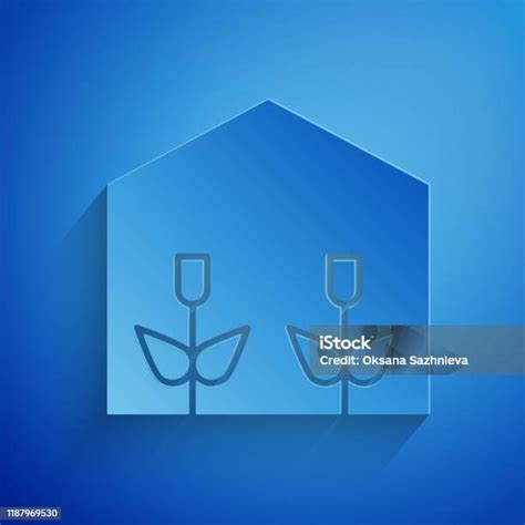 종이 잘라 홈 온실과 식물 아이콘파란색 배경에 격리 종이 아트 스타일입니다 벡터 일러스트레이션 0명에 대한 스톡 벡터 아트 및 기타 이미지 Istock