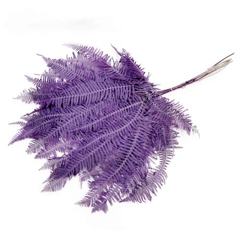 플로라 프리저브드