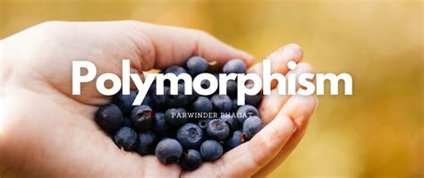 Classes In Js Public Private And Protected Dev Community