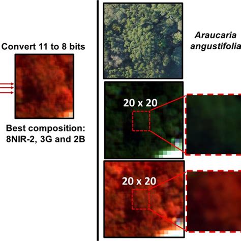 Spectral Band Correlation Radiometric Conversion And Sample Download Scientific Diagram