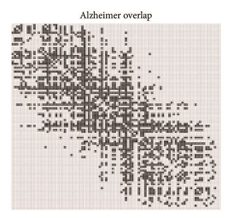 The Figure Shows The Overlap Matrices Computed For The AD A And The Download Scientific