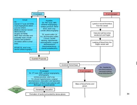 Schematic Pathophysiology Cva