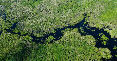 Identifying Effective Policy Interventions For Different Deforestation Dynamics Cifor Icraf