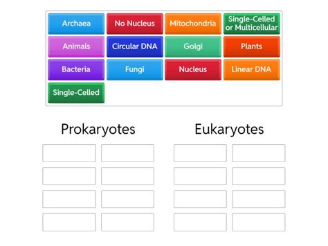 Prokaryotes Versus Eukaryotes Group Sort