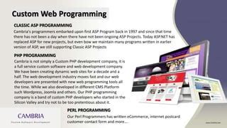Cambria Custom Programming PPT