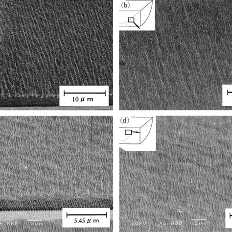 Microstructure At The Transition From Cellulardendritic To Absolutely