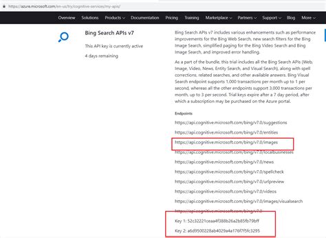azure bing image search sdk for python getting permission denied
