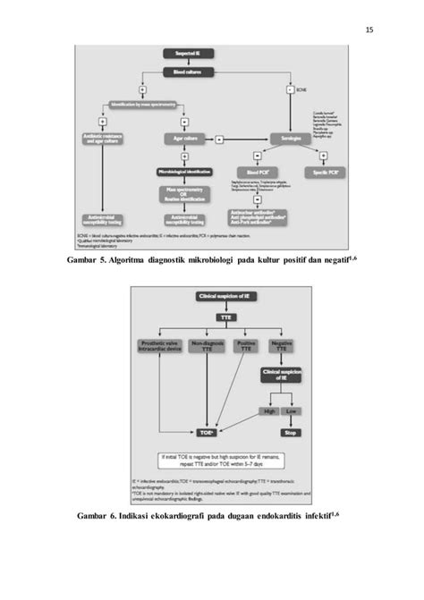 Dt Endokarditis Infektif Docx