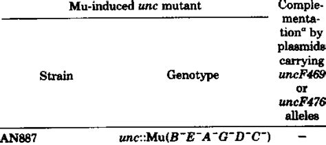 Complementation Tests With Plasmids Carrying Uncf Alleles And Download Scientific Diagram