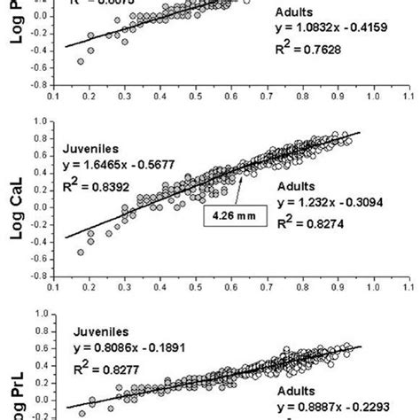 Estimate Of Size At Morphological Sexual Maturity For Female Of Download Scientific Diagram